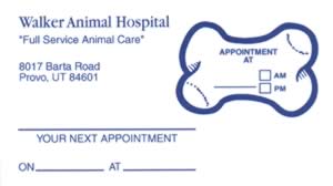 Appointment Cards | Removable Sticker Reminder Cards